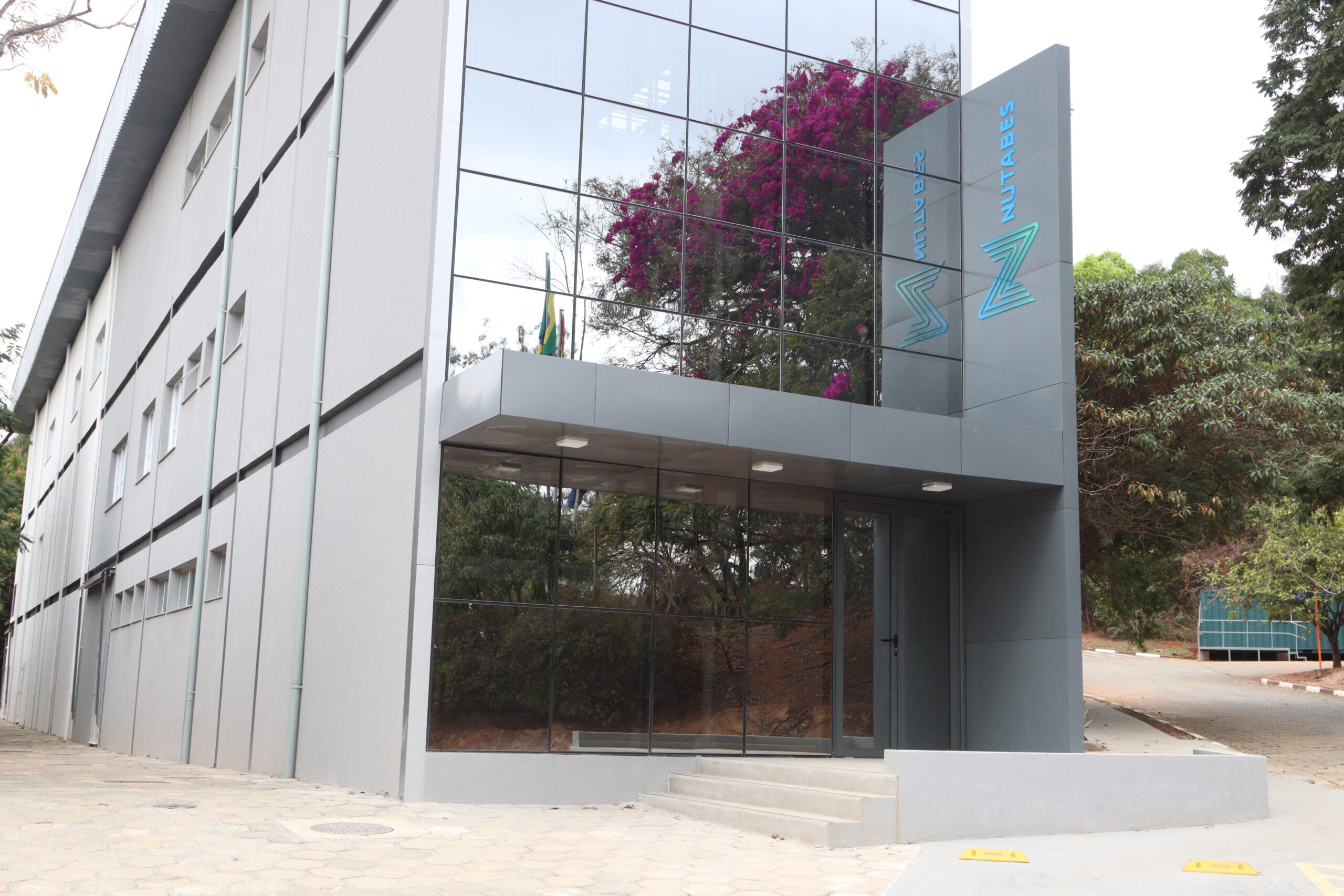 Receptores CB1 e CB2: como funcionam e por que são essenciais